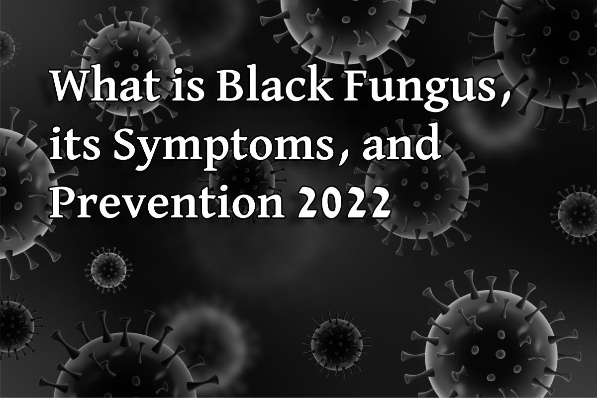 What is Black Fungus, its Symptoms, and Prevention? l 2022